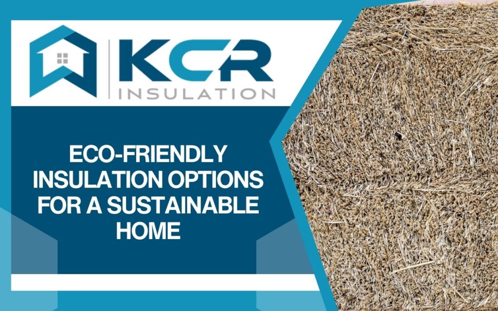 Eco-Friendly Insulation Options for a Sustainable Home